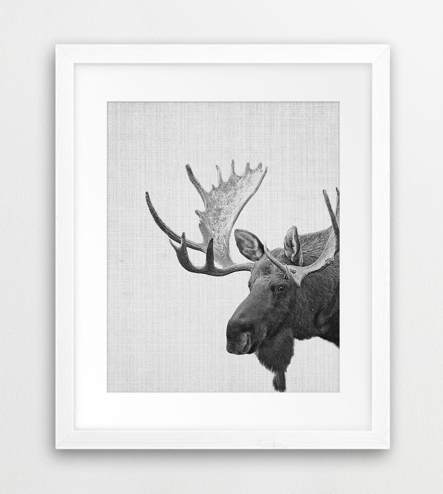 Moose Print Grey Moose Print Black And White Print