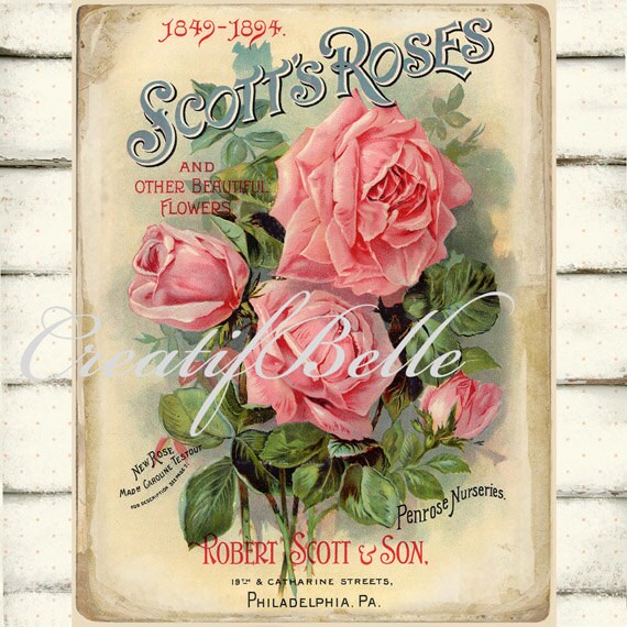 Vintage Pink Roses Seed Packet Large Instant Digital Download
