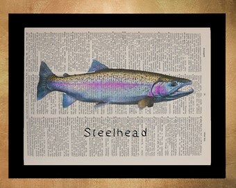 Salmon Steelhead Spawning Fish Fly Fishing Fisherman Swimming