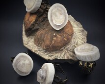 Popular items for elk antler ring on Etsy