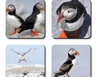 Atlantic puffin | Etsy