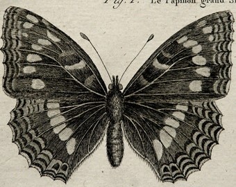 Butterfly etchings | Etsy