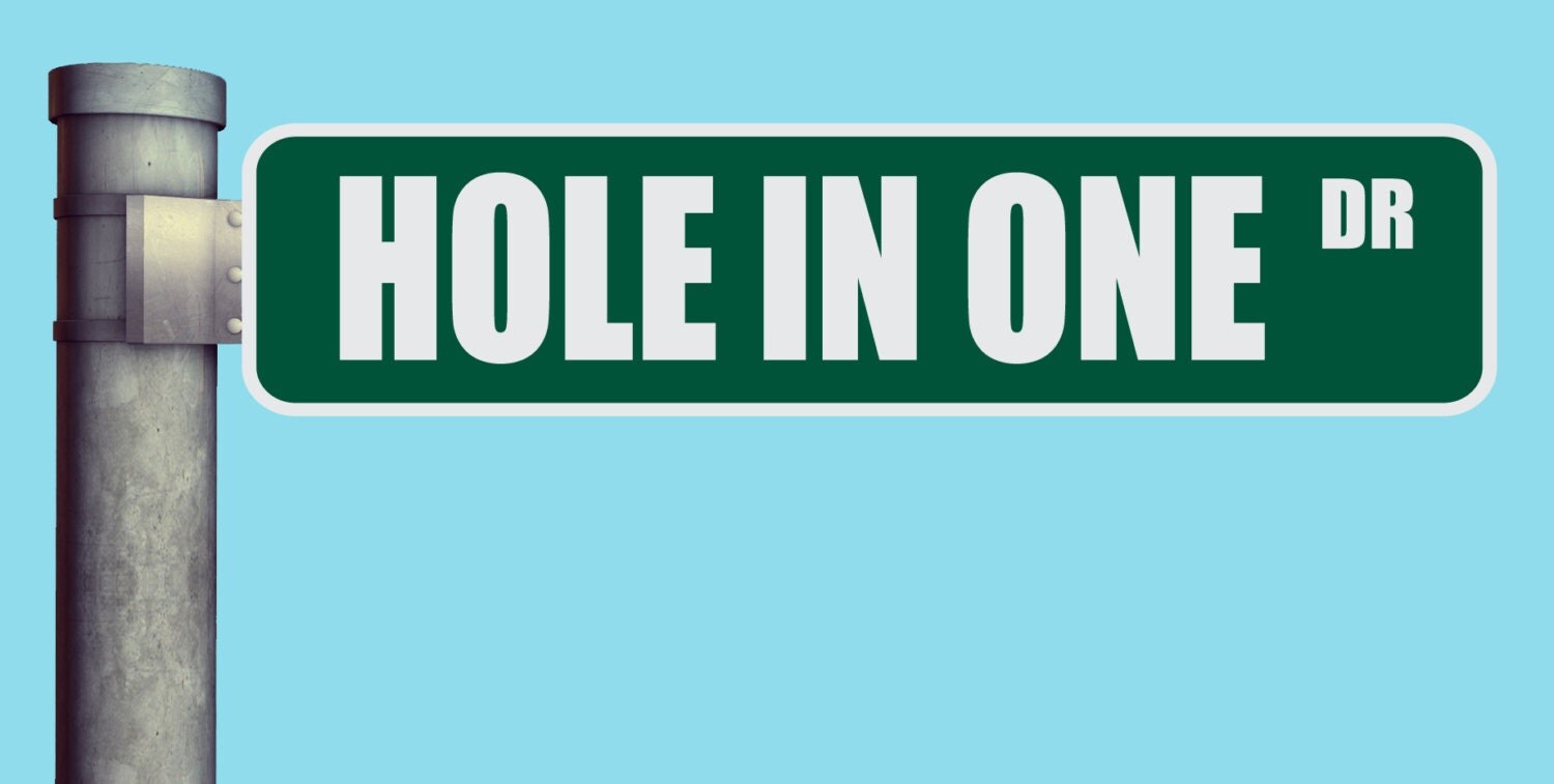 Hole In One DR Street Sign Drive Heavy Duty Aluminum Warning