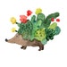 Watercolor Cactus Hedgehog PNGJPG