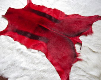 Springbok hide | Etsy