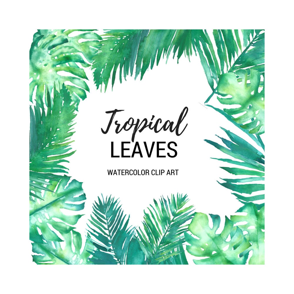 Tropical Leaves Watercolor Clip Art Digital Graphics 300dpi