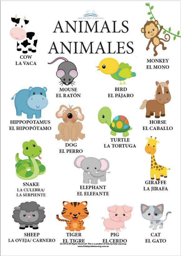 English/Spanish Poster Pack Numbers Animals Colours and