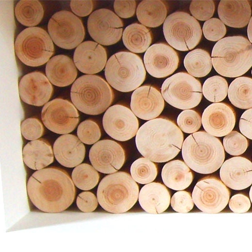 DECORATIVE LOGS & LOG WALL TILES for interior by TheLogBasket