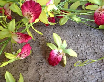 Pitcher plant faux pitcher plant carnivorous plant by dirtcouture