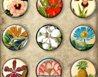 Printable Floral 1.5 Inch Circles Digital by DigitalArtMart