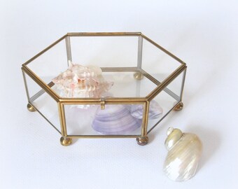 Glass display box | Etsy