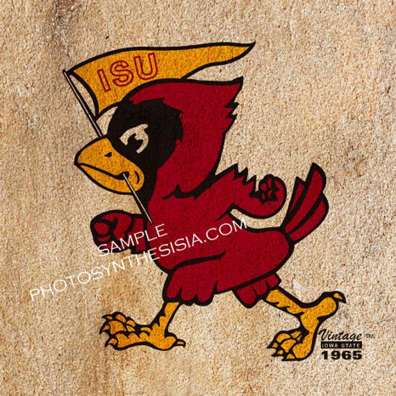 Iowa State University Vintage Pennant Cy by PhotoDesign317 on Etsy