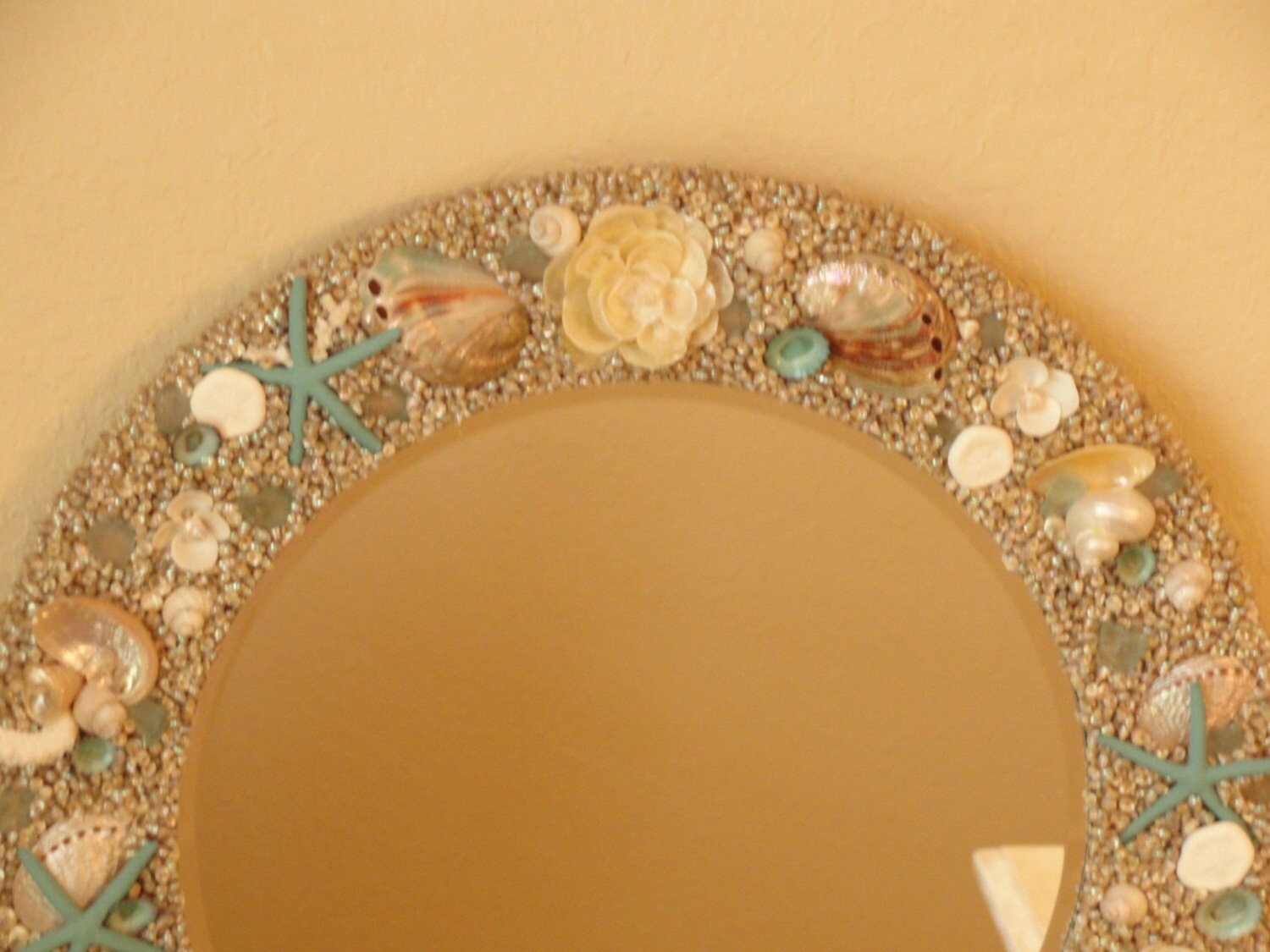Elegant shell mirror round shell mirror coastal decor