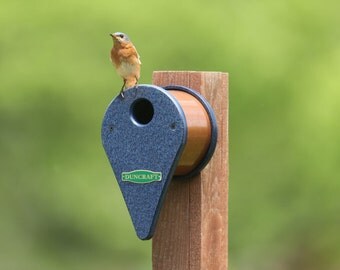 Tree Map Pin Map Marker Push Pins Fir Tree National Park