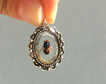 Unique cute bug related items | Etsy