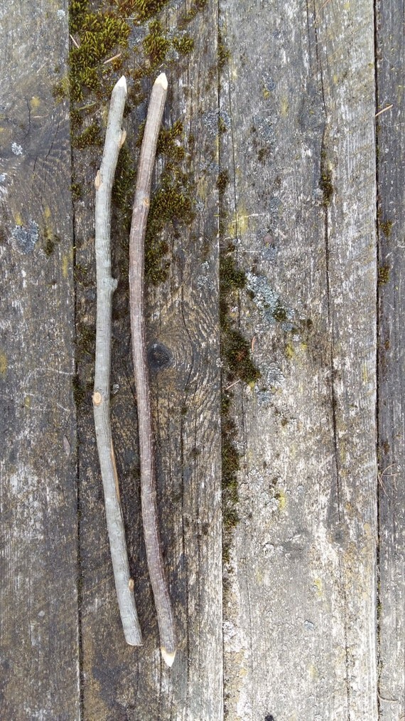 Celtic sacred tree druid wood rowan wand supply by goodieshill