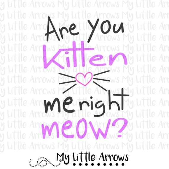 Are you kitten me SVG DXF EPS png Files for Cutting