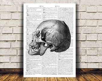 Skull dictionary art | Etsy
