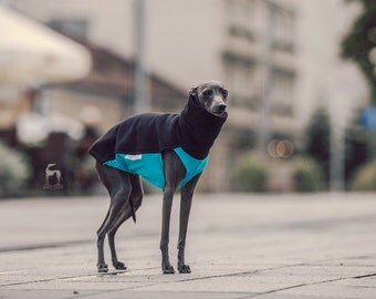 Italian greyhound | Etsy