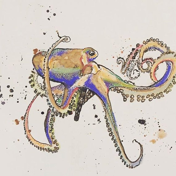 Octopus in Color Ink Sketch Ink Drawing Pen and Ink
