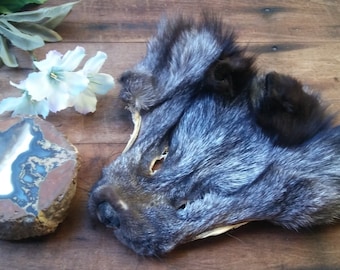 Unique coyote mask related items | Etsy