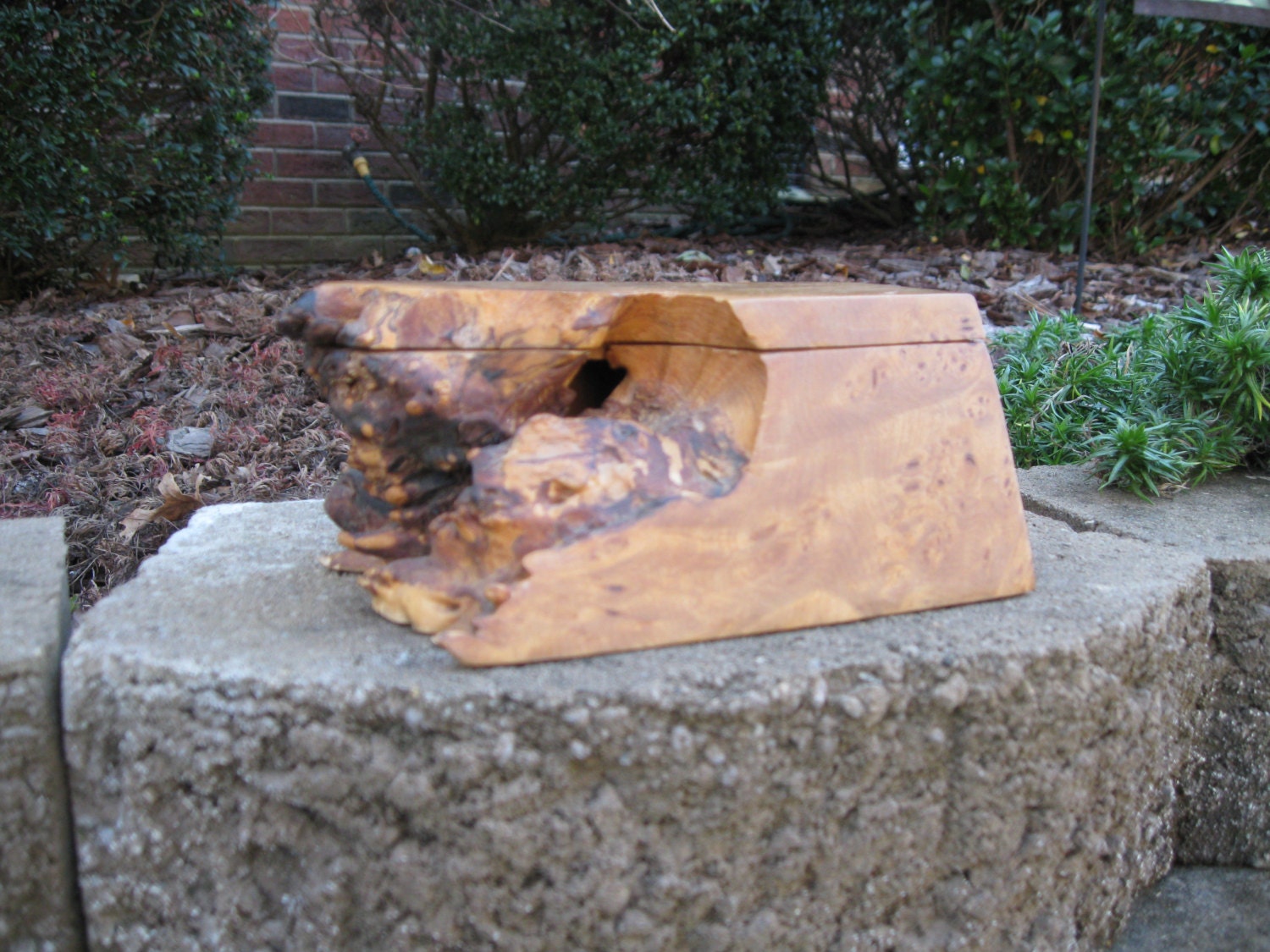 Burrelled Wood Keepsake Box – Haute Juice