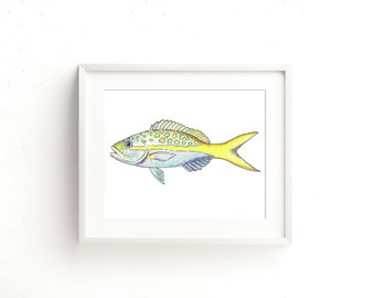 Watercolor Snapper Fish Print Queen Snapper Print Fish Art