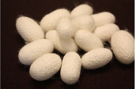 Silk Cocoons Natural Mulberry Silk Cocoons 10 per pack