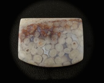 Orbicular agate | Etsy