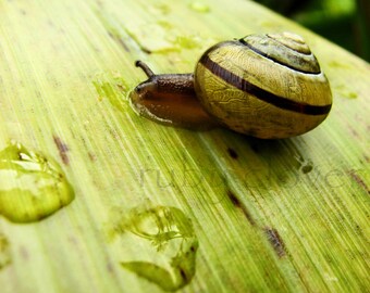 Crazy Irish Road Signs Durrus Co. CORK IRELAND photo