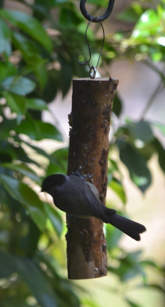 Driftwood Log Bird Feeder Rustic Log Suet Feeder Peanut