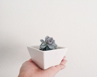 Square planter | Etsy