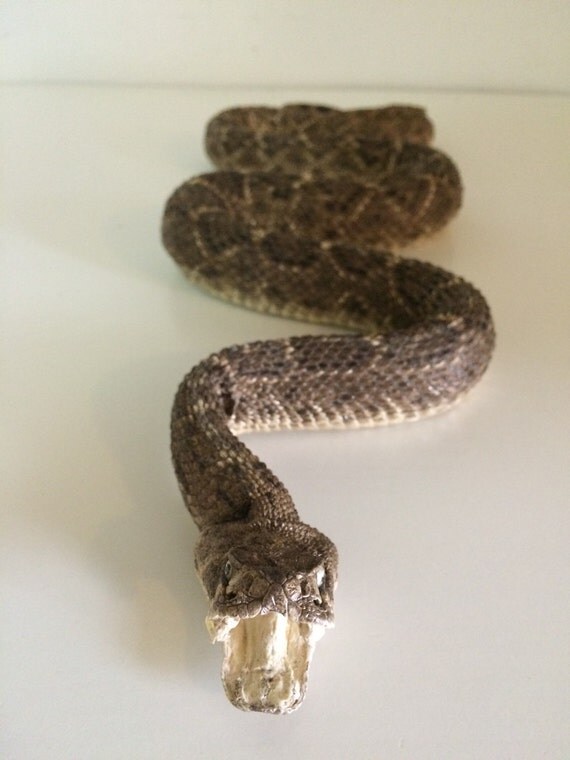 Taxidermy Rattlesnake Snake Full Body Mount with Rattle