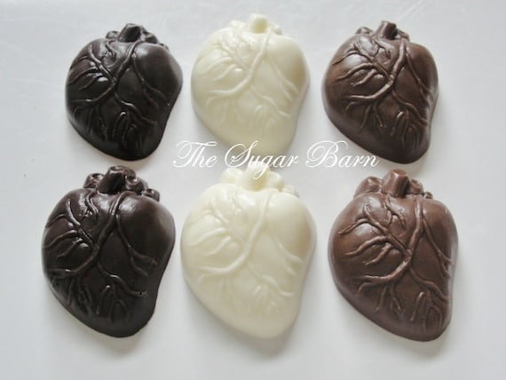 Human HEART SOLID CHOCOLATE Pieces24 CountDoctor