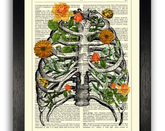 Rib cage | Etsy