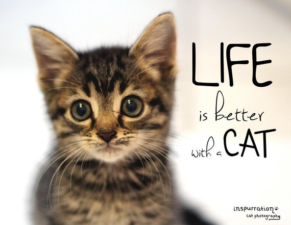 Life is Better with a Cat Cat Quote Print Cat Lover Gift