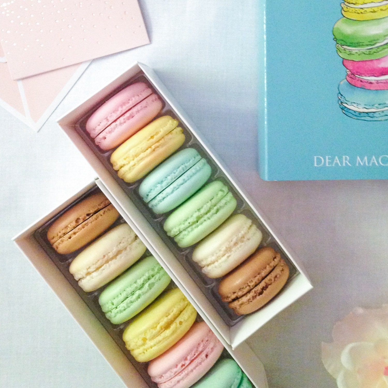 12 FRENCH MACARONS in signature box
