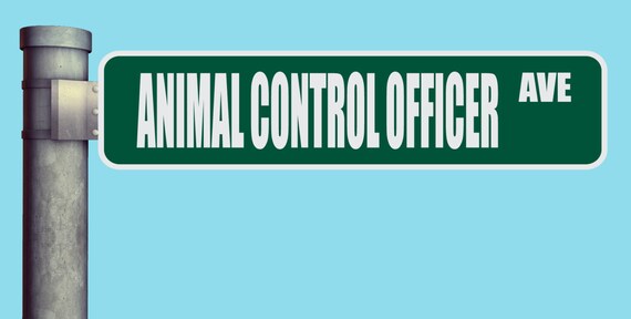 Animal Control Officer AVE Street Sign Avenue Heavy Duty