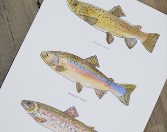 Rainbow trout print | Etsy