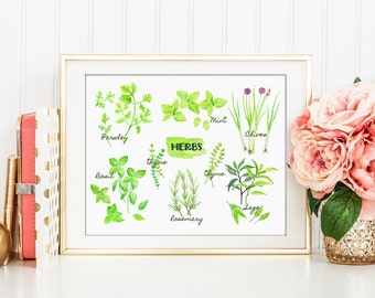 Herb poster | Etsy
