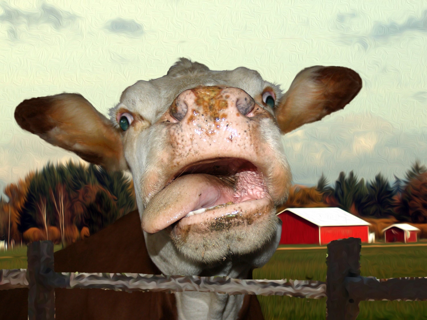 Crazy Cow by Kate Hubbard