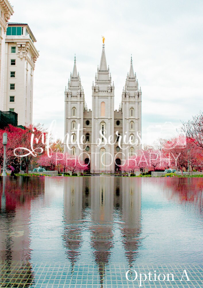 LDS Temple Canvas Wrap Multiple Sizes and Temples Available