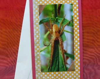 Unique be nice to spiders related items | Etsy