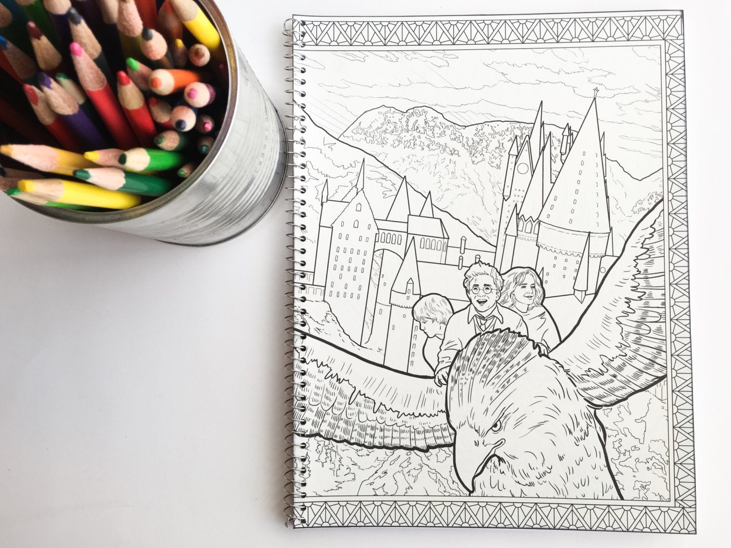 Harry Potter adult coloring book notebook with Harry Potter