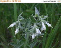 Unique molle related items | Etsy