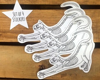 Cat Anatomy Stickers Yoga Cat Die Cut Stickers Hipster