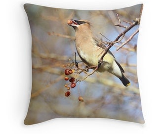 Bird Home Decor Moon Pillow Bird Cushion Moon Cushion Bird