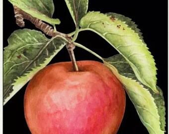 Apple painting | Etsy