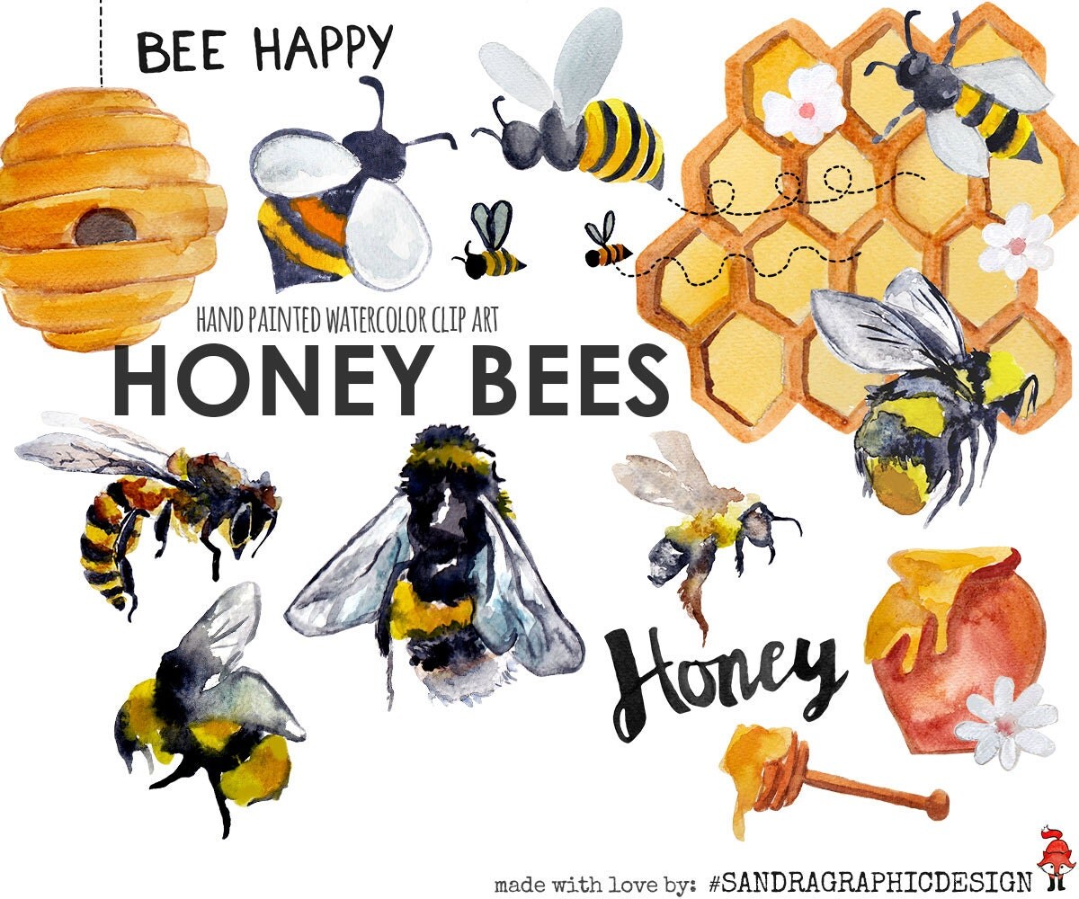 Honey bee clip art summer clipart beez bee hive nature