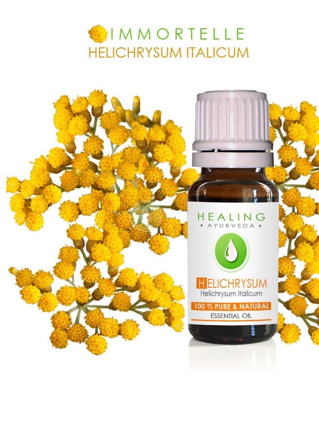 Helichrysum Italicaum 100 Pure Helichrysum Essential Oil Immortelle